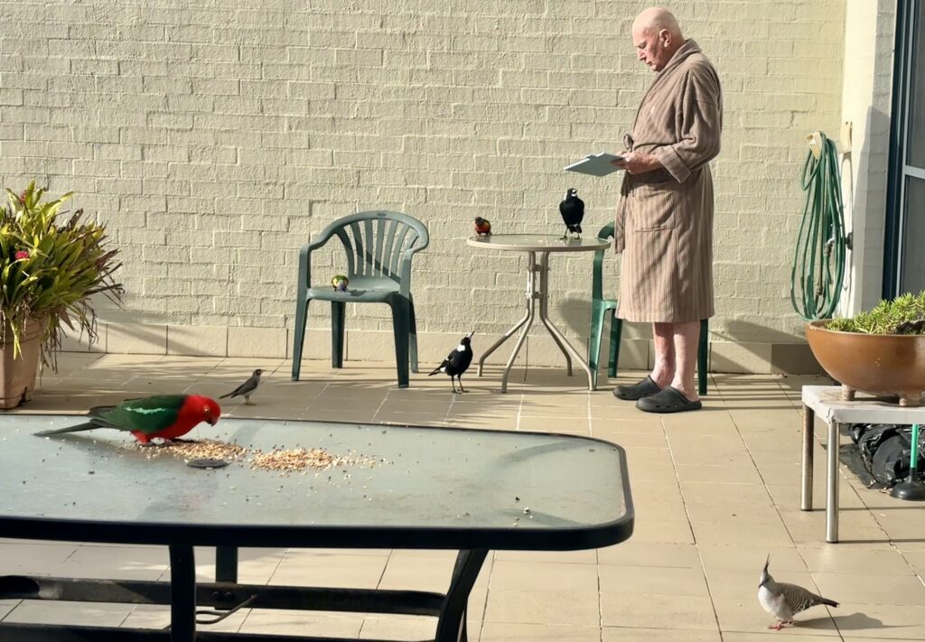 Two Canticles by Colleen Keating published in Rochford Street Journal ...